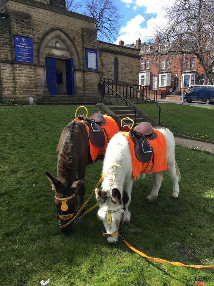 Hosanna Palm Sunday Processions Mark Start Of Holy Week Diocese Of Leeds